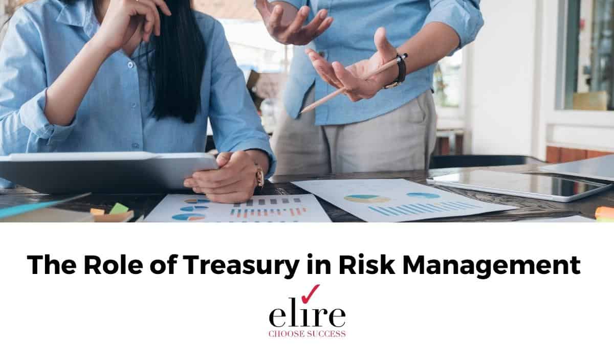 The Role of Treasury in Risk Management — Elire Consulting